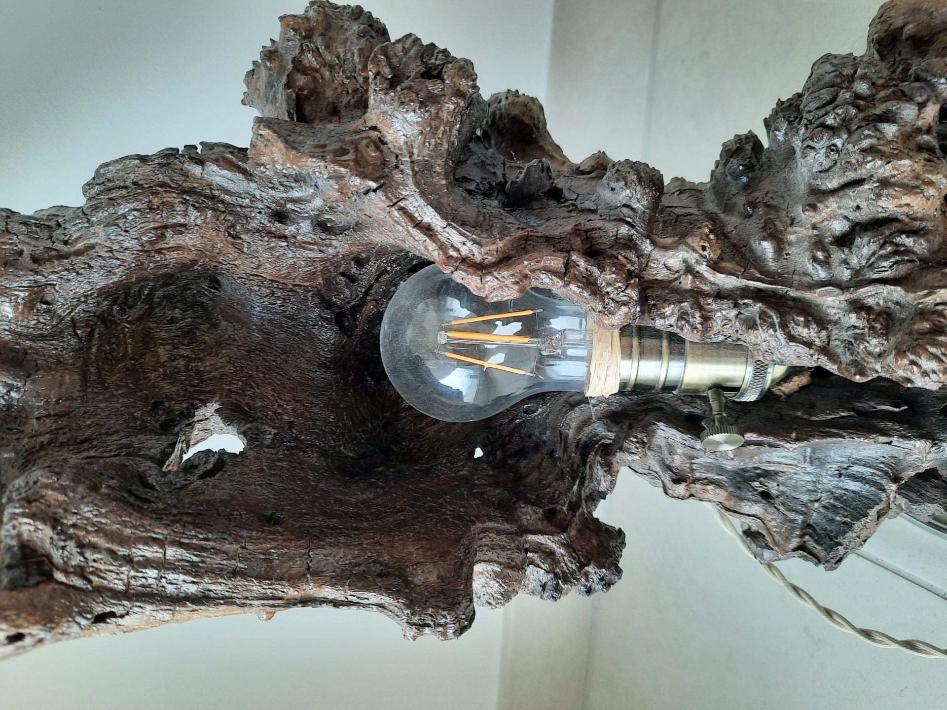 Root lamp | #LRCrafts