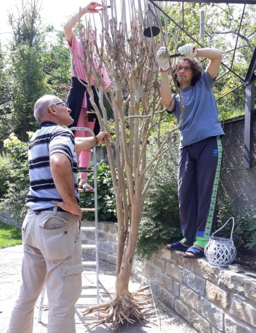 Turning a dead tree into a sculpture with epoxy resin | #LRCrafts