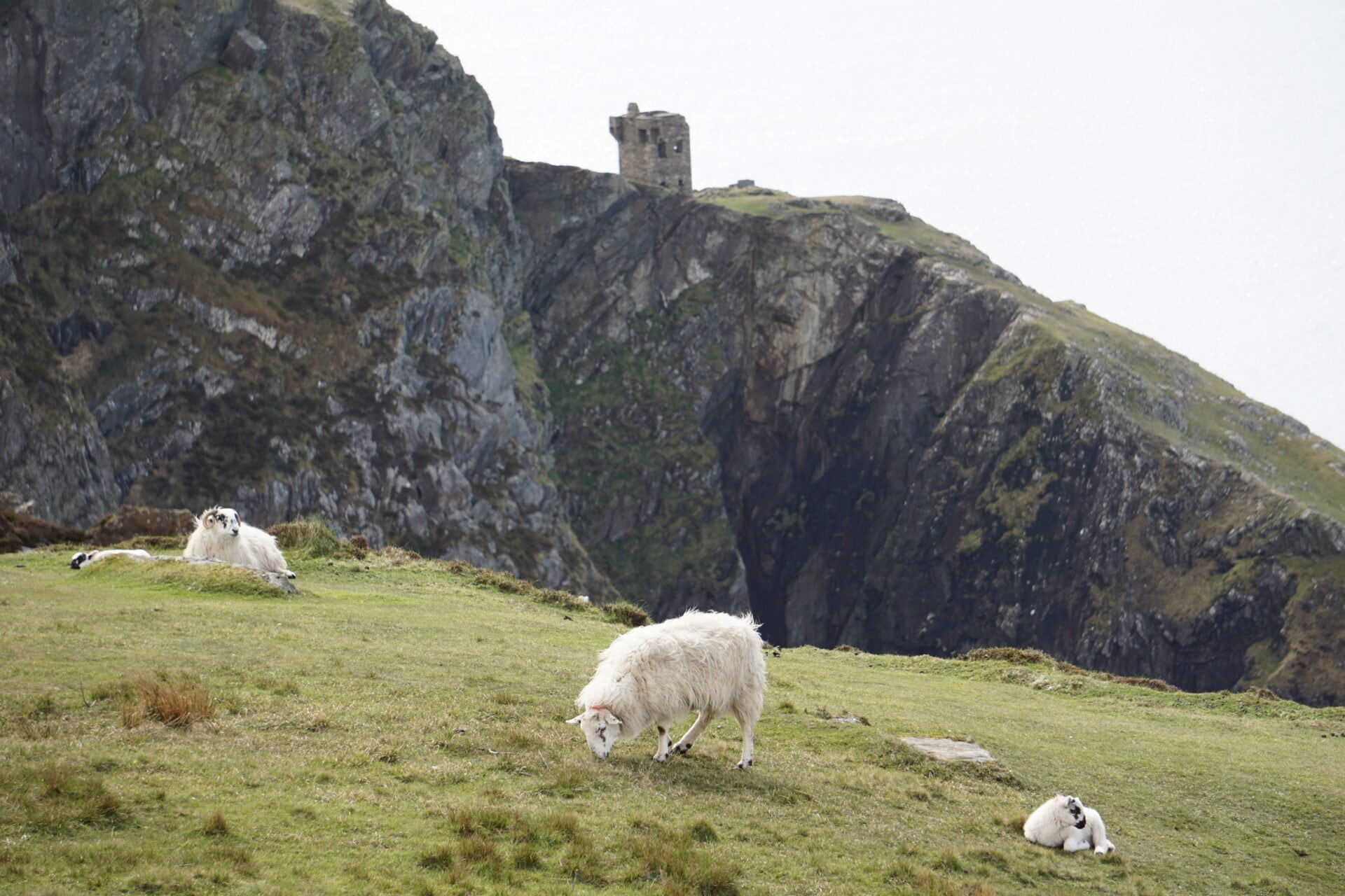 The Triona Donegal Tweed Visitors Centre in Ireland | #LRCrafts